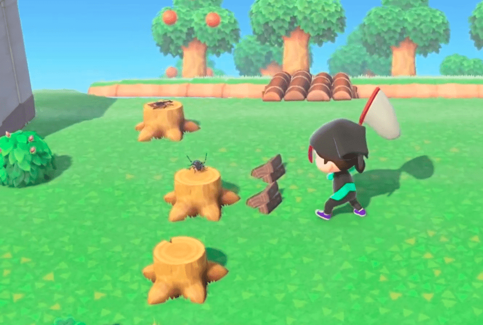 Animal Crossing Bugs Guide Creature Crossing