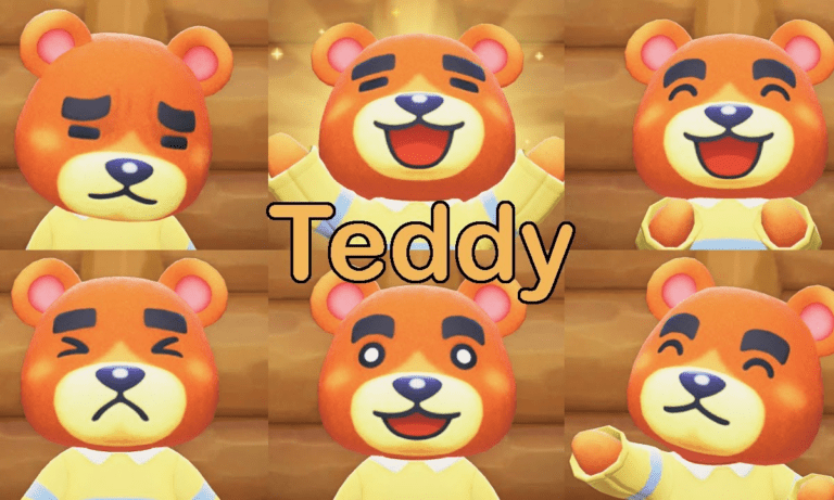 Teddy Animal Crossing Guide - Creature Crossing